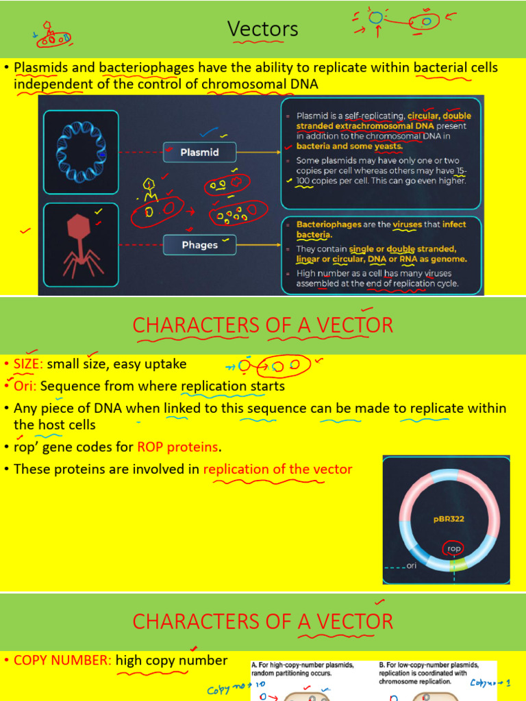 Biotechnology 2 | PDF | Plasmid | Vector (Molecular Biology)