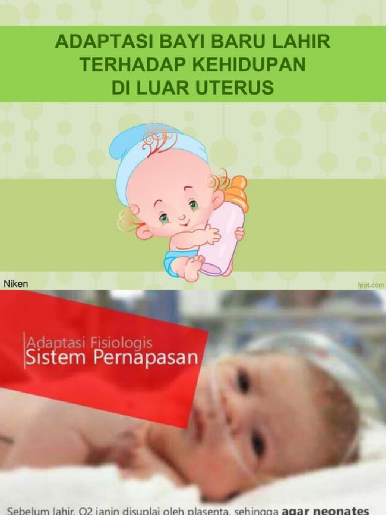 Adaptasi BBL, Sistem Pernafasan Imunologi | PDF