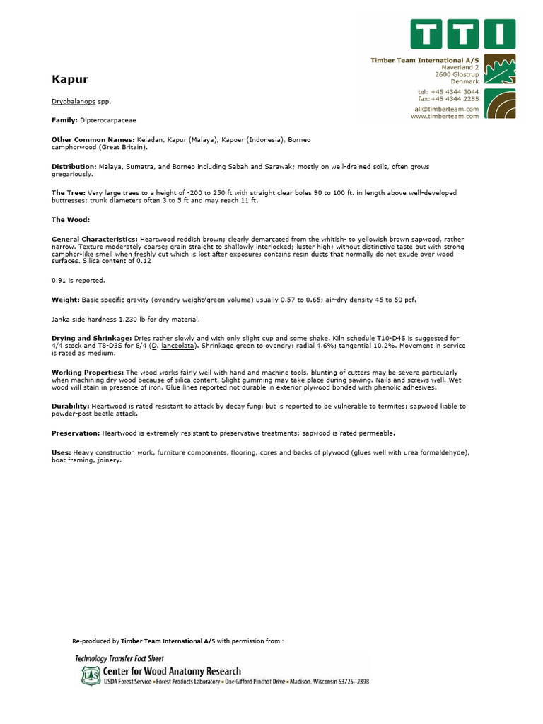 Kapur Wood: Characteristics & Uses | PDF