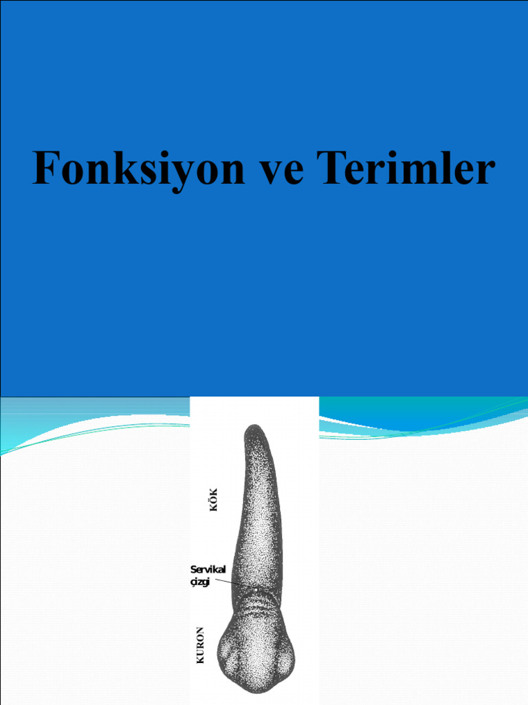 Fonksiyon & Terimler | PDF
