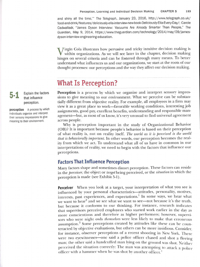 Perception 1 | PDF