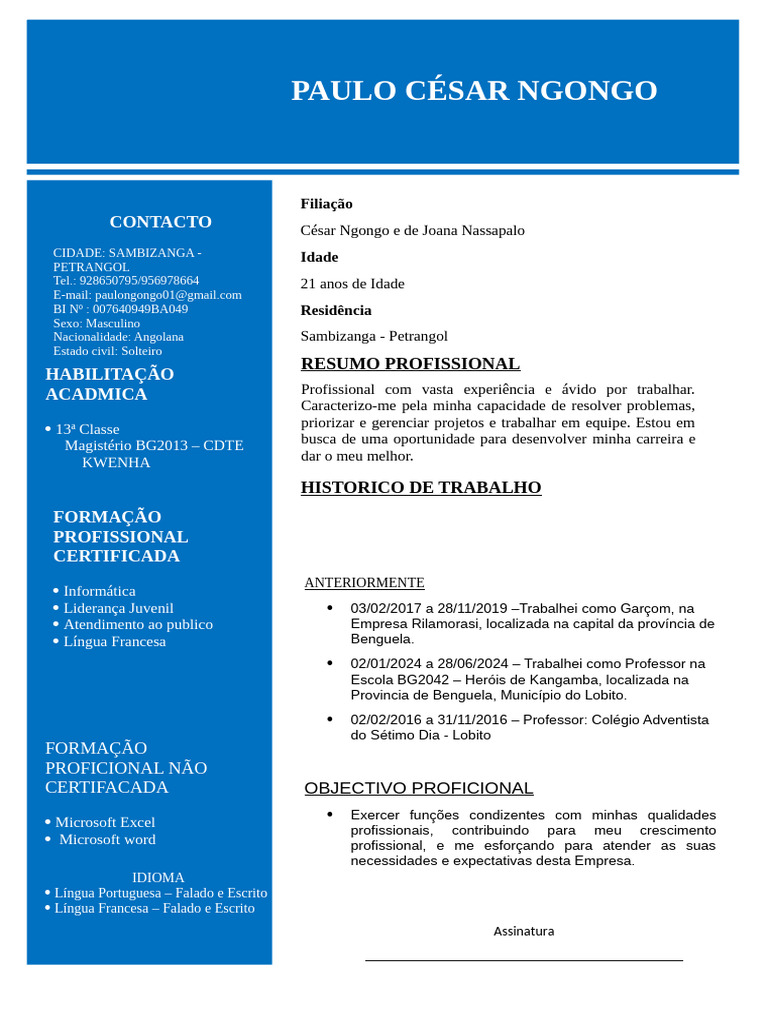 Curriculum Paulo | PDF