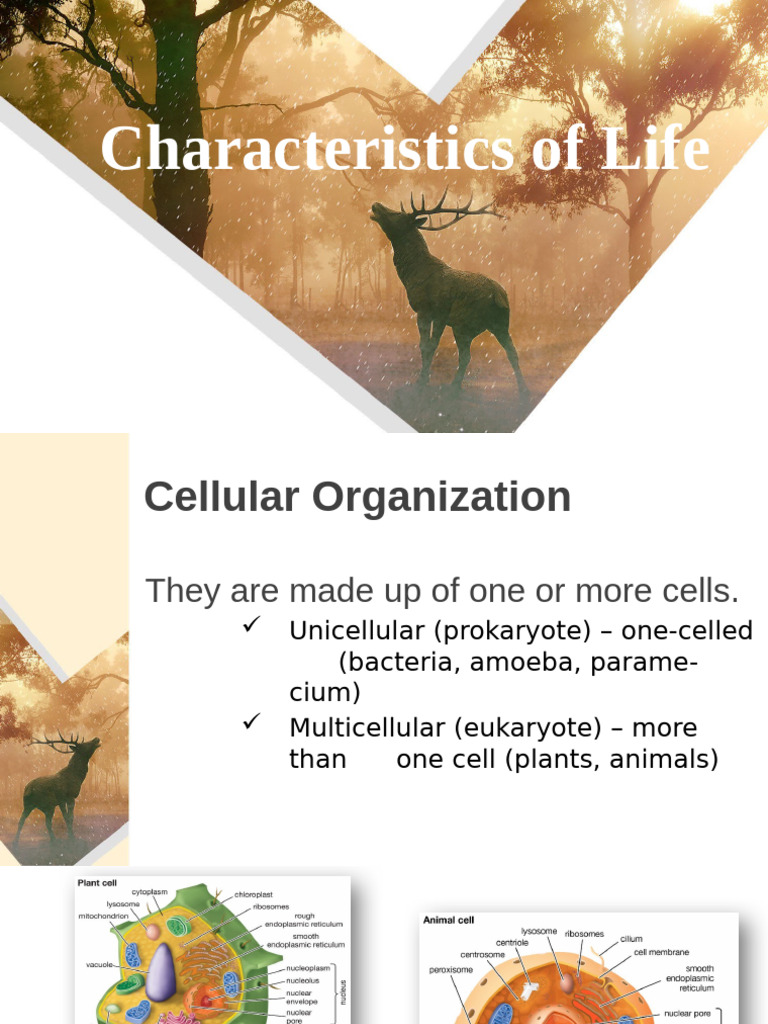 Characteristics of Life and Unifying Themes in Life Science | PDF