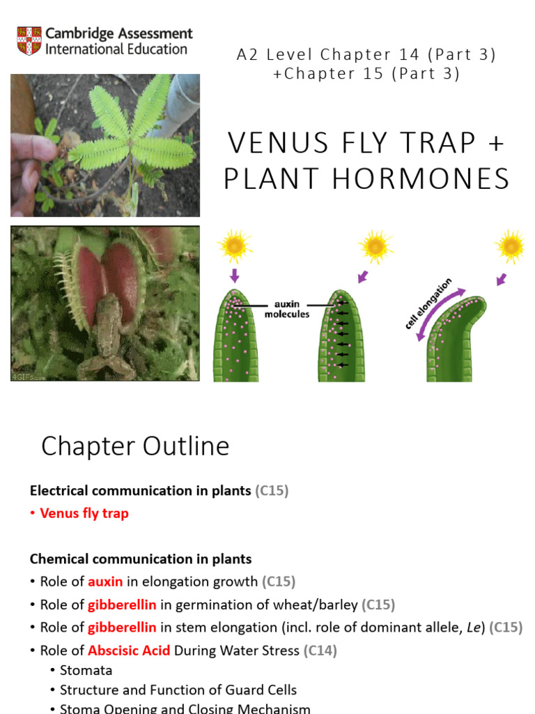 Venus Fly Trap & Plant Hormones | PDF | Auxin | Stoma