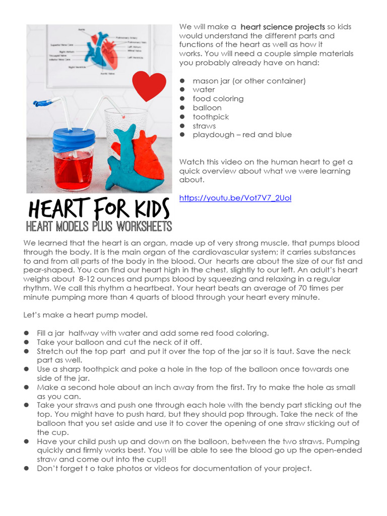 Heart Pump Model Project | PDF | Heart | Circulatory System