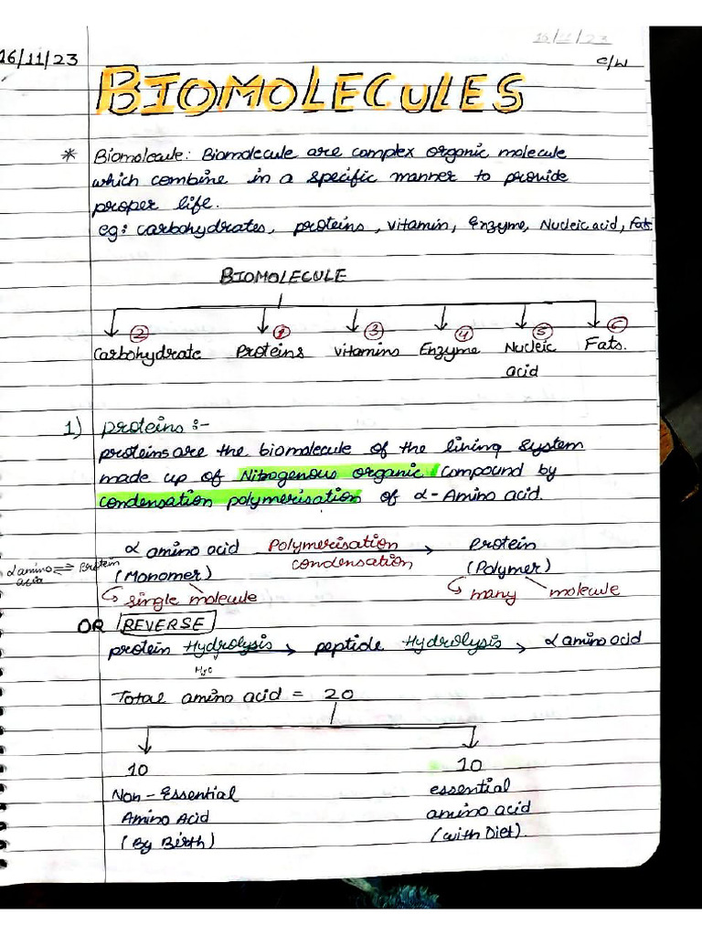 Biomolecules | PDF