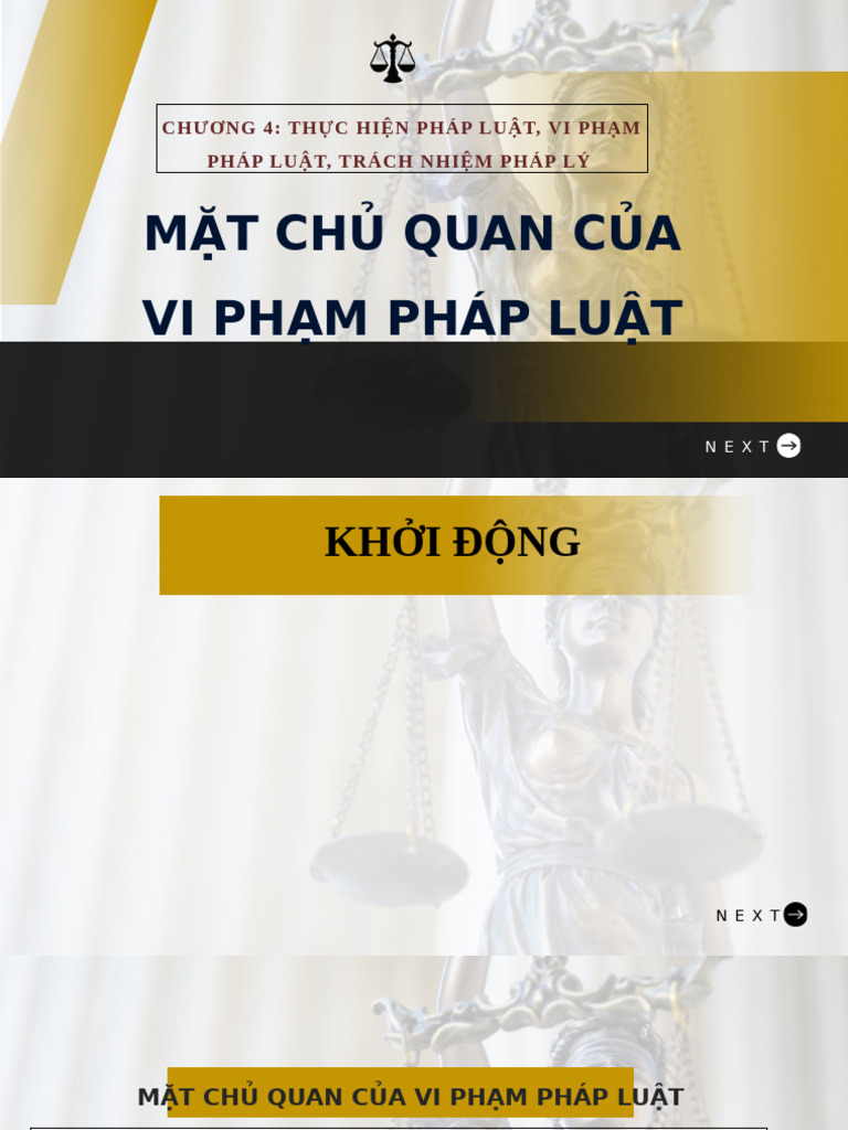 Mat Chu Quan Cua Vi Pham Phap Luat | PDF