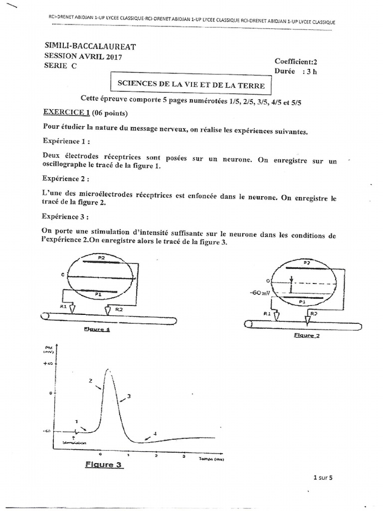 SSSVT | PDF