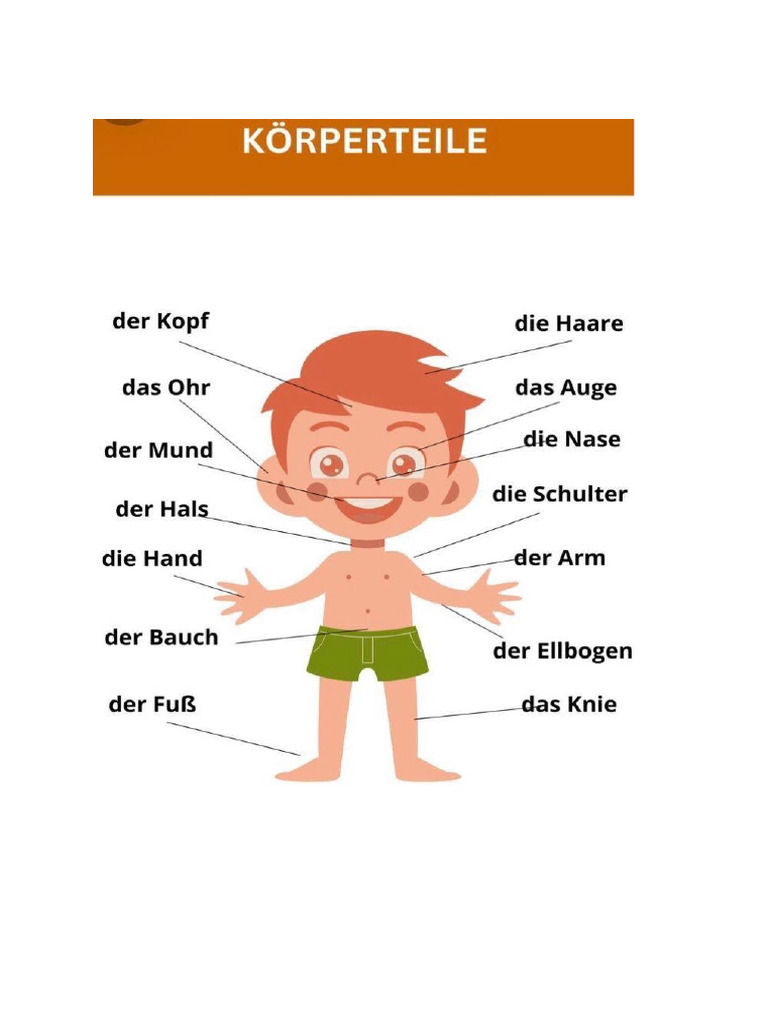 Body Parts - German | PDF