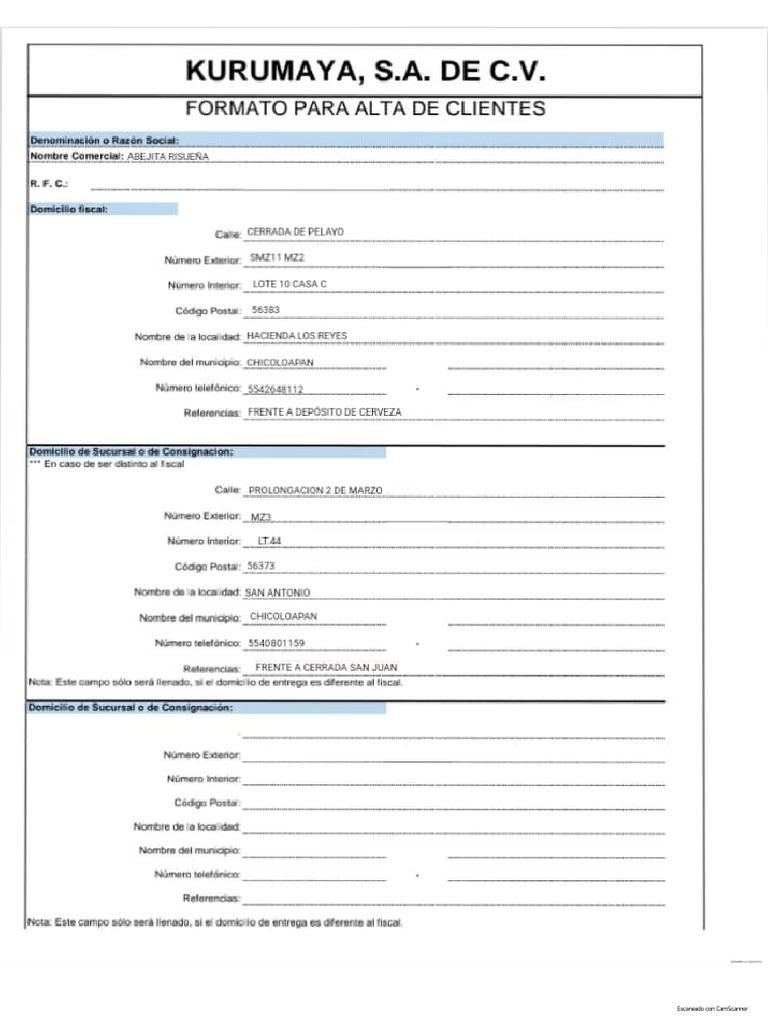 Formato para Alta de Cliente | PDF