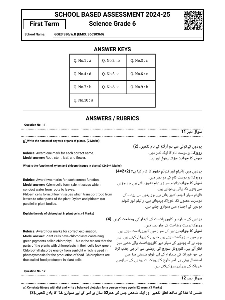 Paper Key - PEC IBS 2025 | PDF