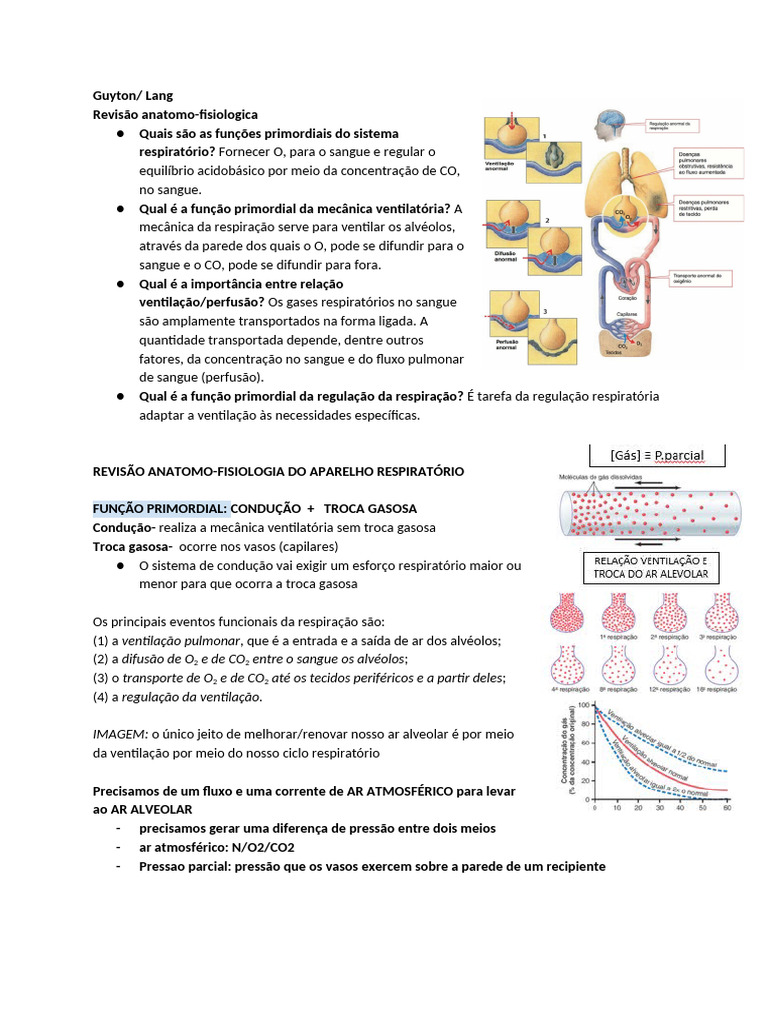 Resumo Fisiopatologia Pneumo | PDF | Respiração | Endotélio