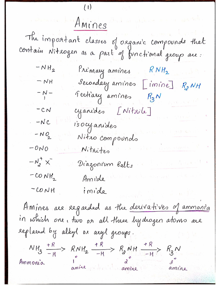 Amines Notes-1 | PDF