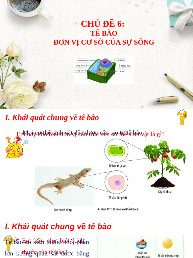 Te Bao KHTN 6 Tiet 1 | PDF