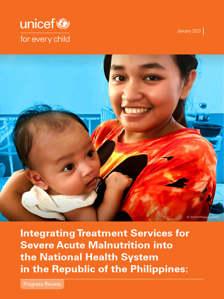 Progress in Integrating of SAM Into HSS-Philippines | PDF ...