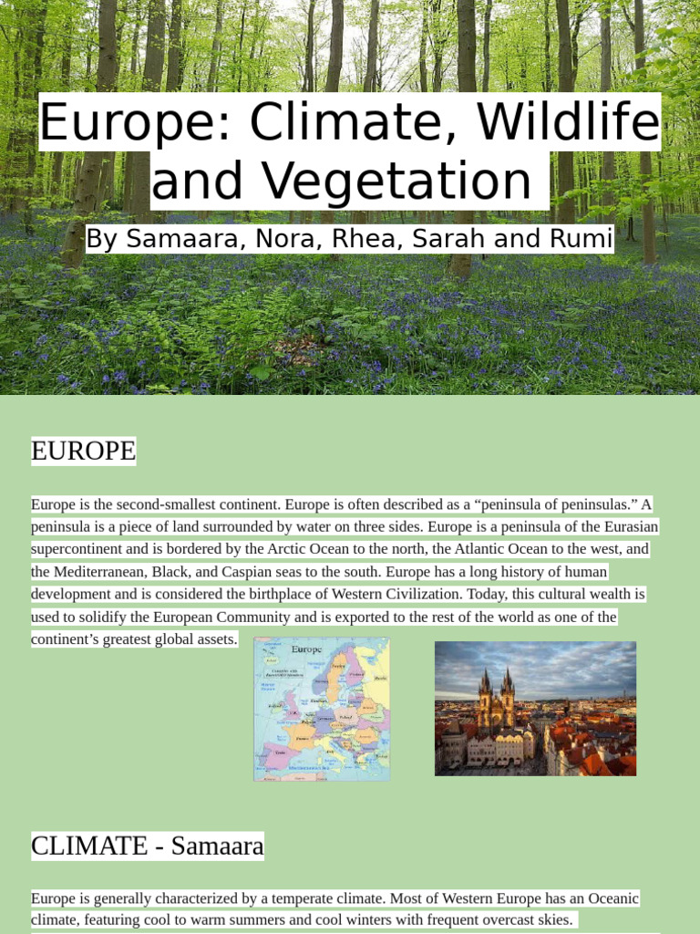 Georgraphy Group Presentation | PDF | Europe | Forests