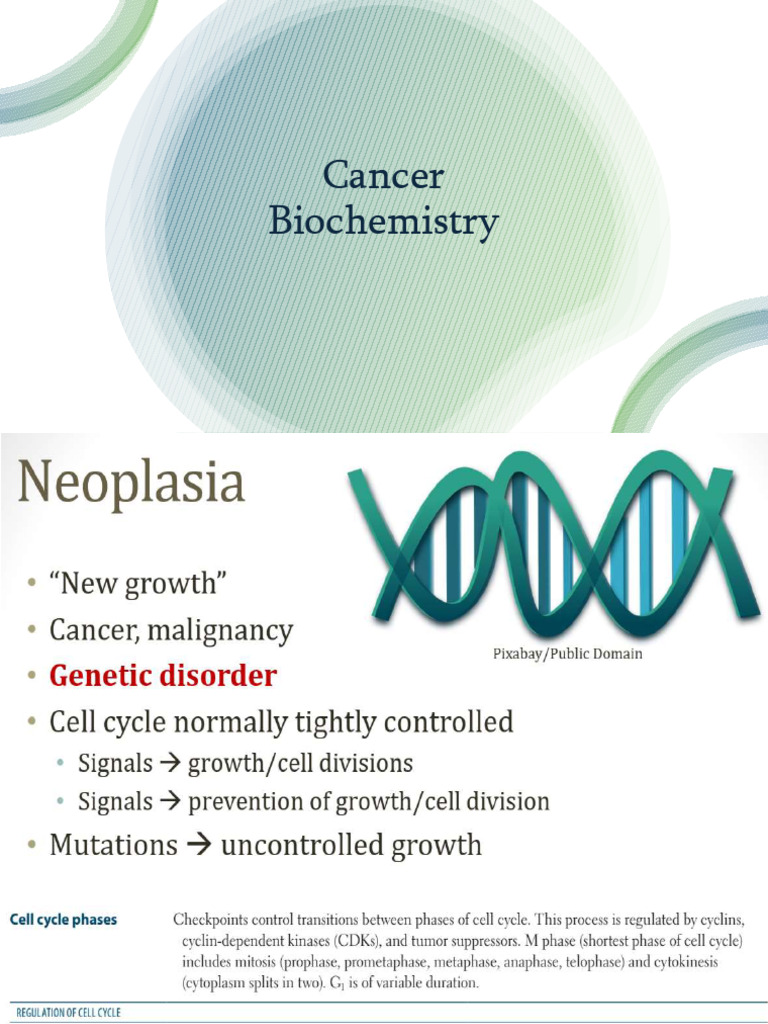 Cancer Biochemistry | PDF