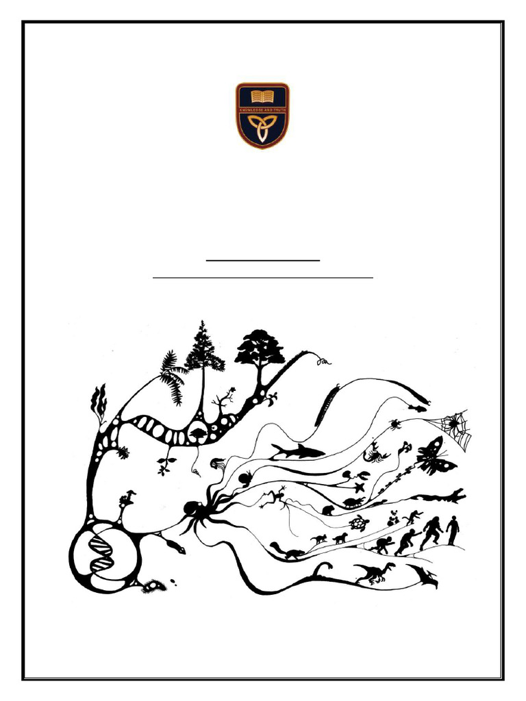 Grade 12 Evolution Study Guide | PDF | Natural Selection | Evolution