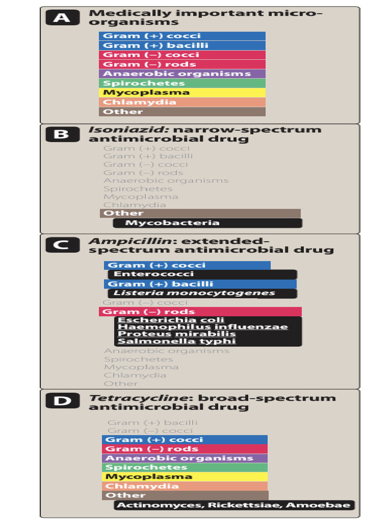 All Chemo Drug Spectra From Lippincott | PDF