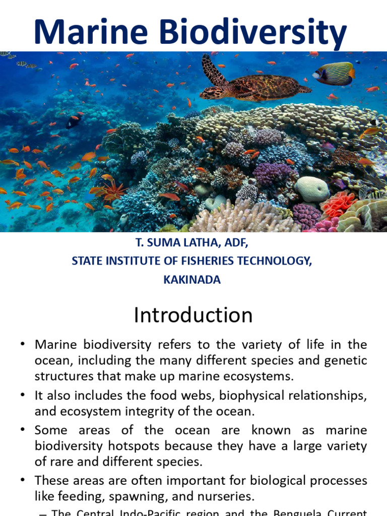 Understanding Marine Biodiversity | PDF