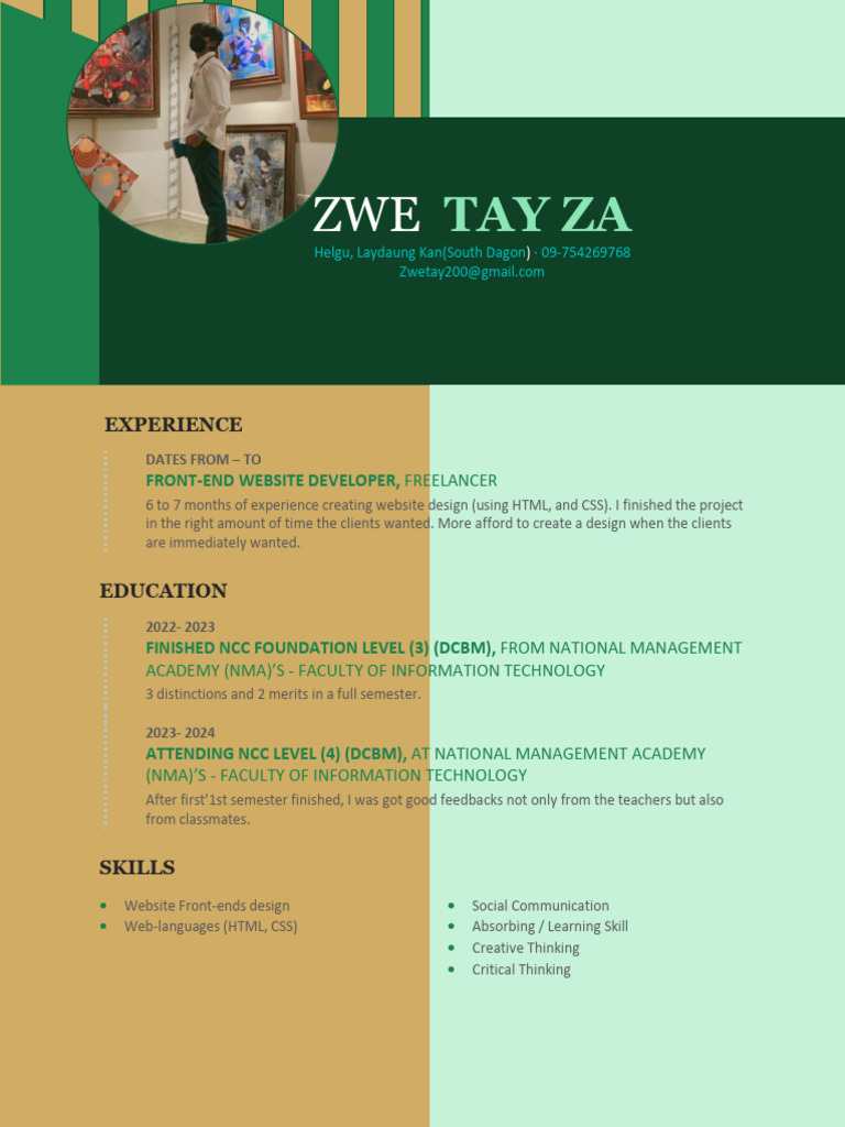 Zwe Tay Za (CV) Form | PDF