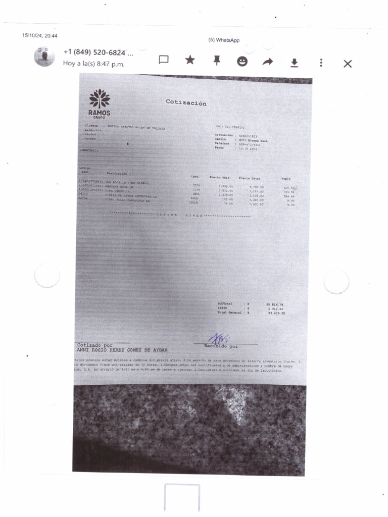 Escáner 20241016 | PDF