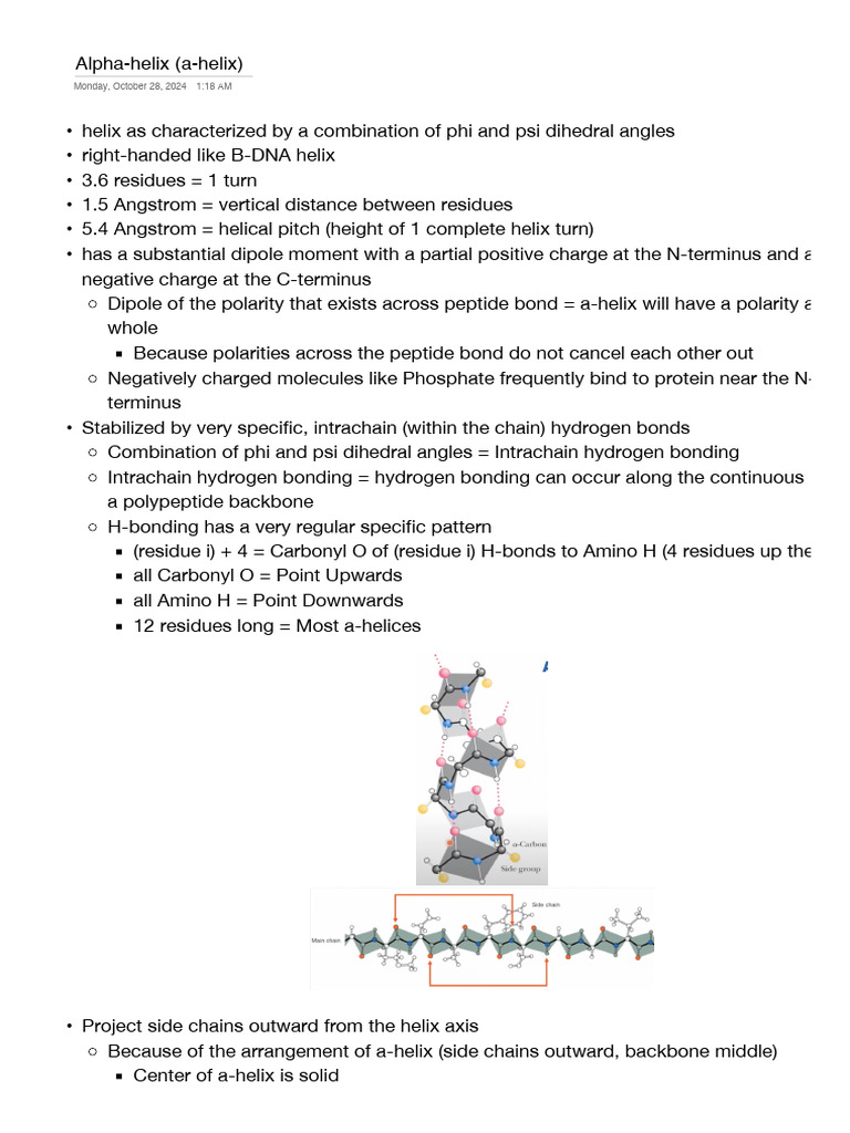 (A-Helix) Secondary Level of Protein Structure | PDF | Art | Science ...