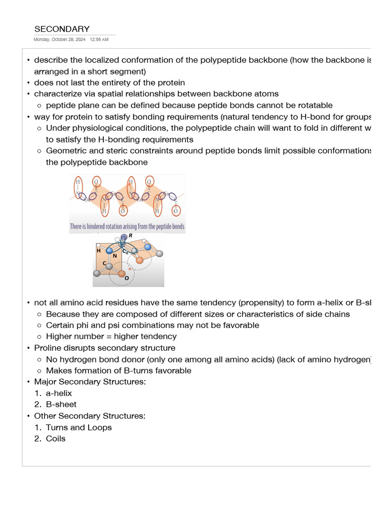 Secondary Level of Protein Structure | PDF