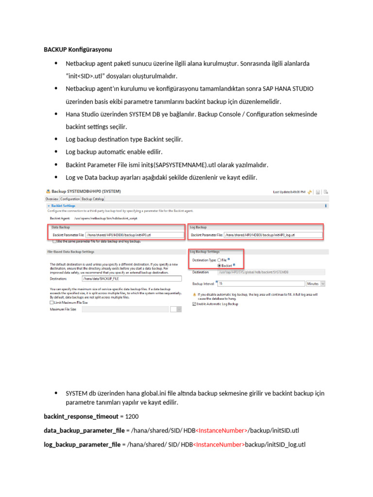 Backint - NetBackup SAP Hana Backup Konfigurasyon | PDF
