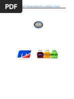 Dashen Brewery Share Company | PDF | Brewing | Beer