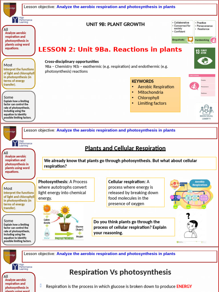 LN 2 Photosynthesis and Respiration and Factors Affecting | PDF ...