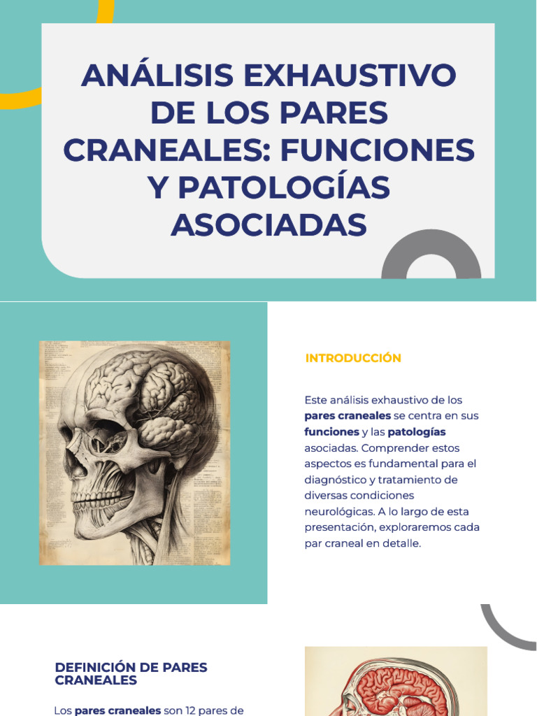 Funciones y Patologías de Pares Craneales | PDF | Percepción visual ...