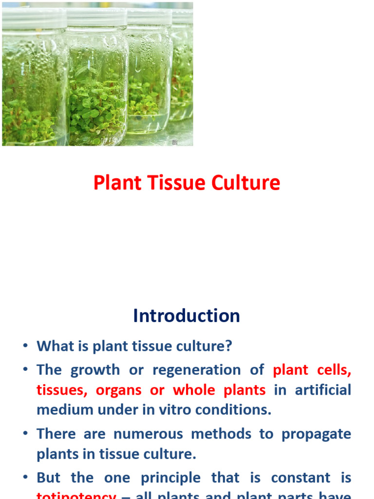 Plant Biotechnology Unit-1 | PDF | Agar | Sterilization (Microbiology)