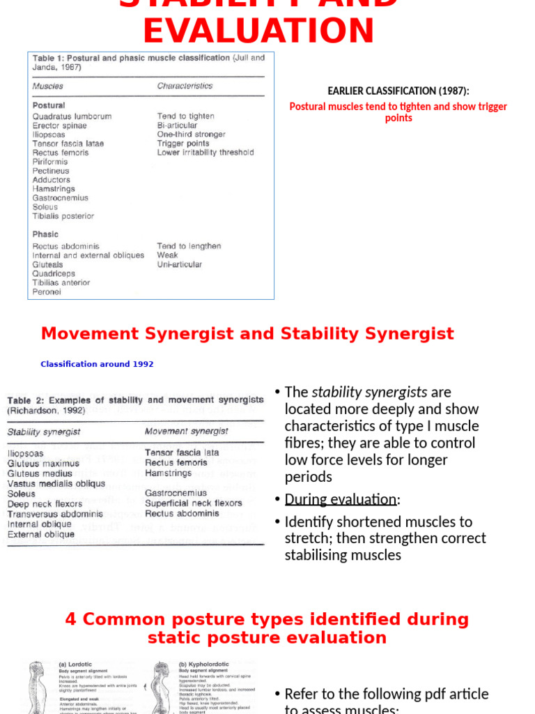2b Stability Training | PDF | Pelvis | Vertebral Column