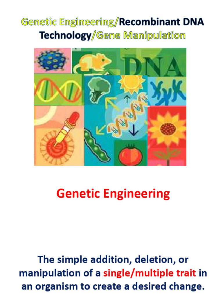 Genetic Engineering Unit I | PDF | Restriction Enzyme | Genetic Engineering