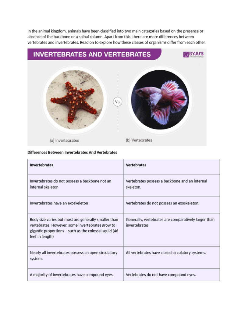 Vertebrates vs Invertebrates Explained | PDF | Wellness | Science ...