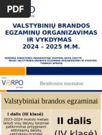 Istorijos VBE 2025 | PDF