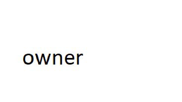 Owner | PDF