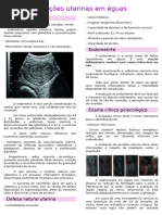 Metrite e Endometrite em Bovinos: Guia Completo | PDF | Bactérias ...