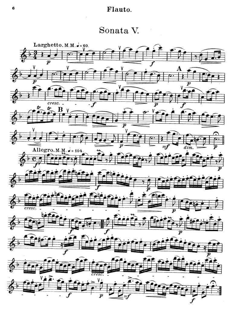 Flute | PDF