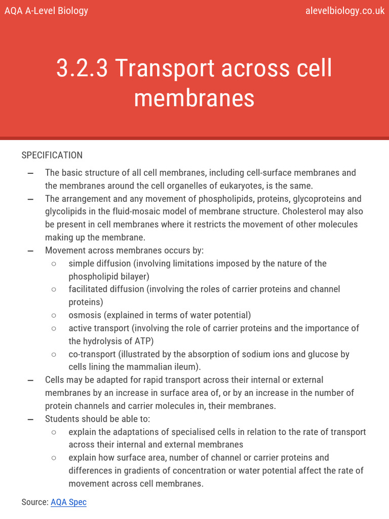 Cell Membrane Transport Mechanisms | PDF | Cell Membrane | Cell Biology
