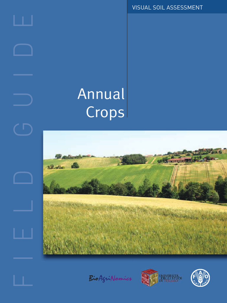 Annual Crops: Visual Soil Assessment | PDF | Soil | Agriculture