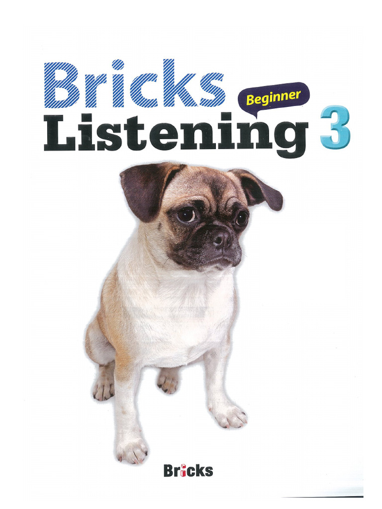 Bricks Beginners 3 | PDF