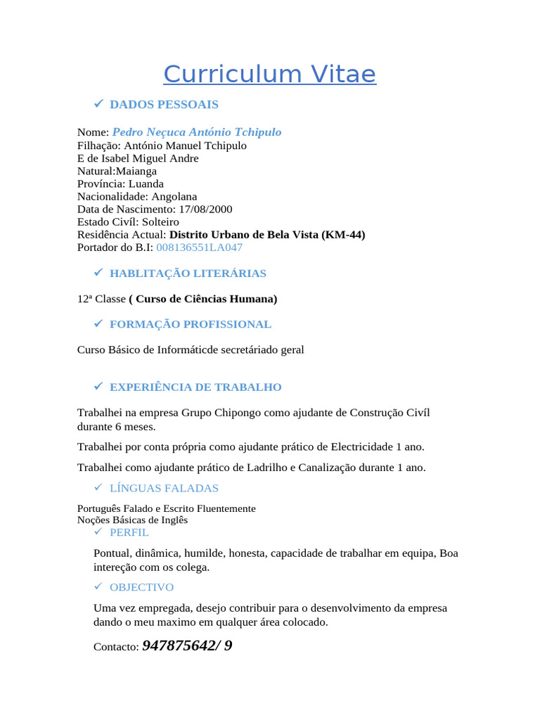 Curriculum Vitae Pedro | PDF