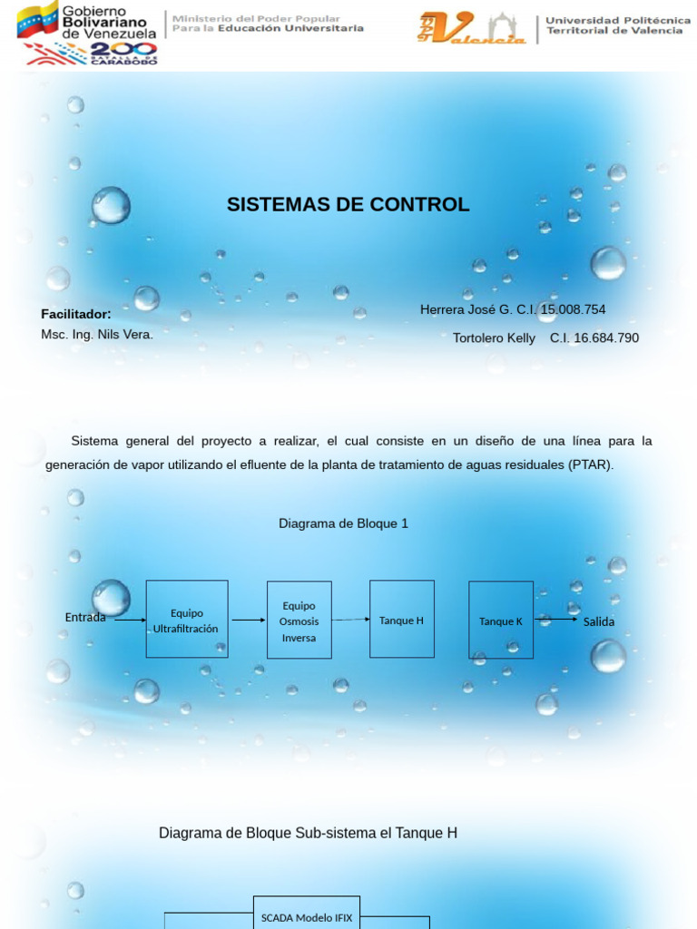 Presentación Control de Proceso | PDF