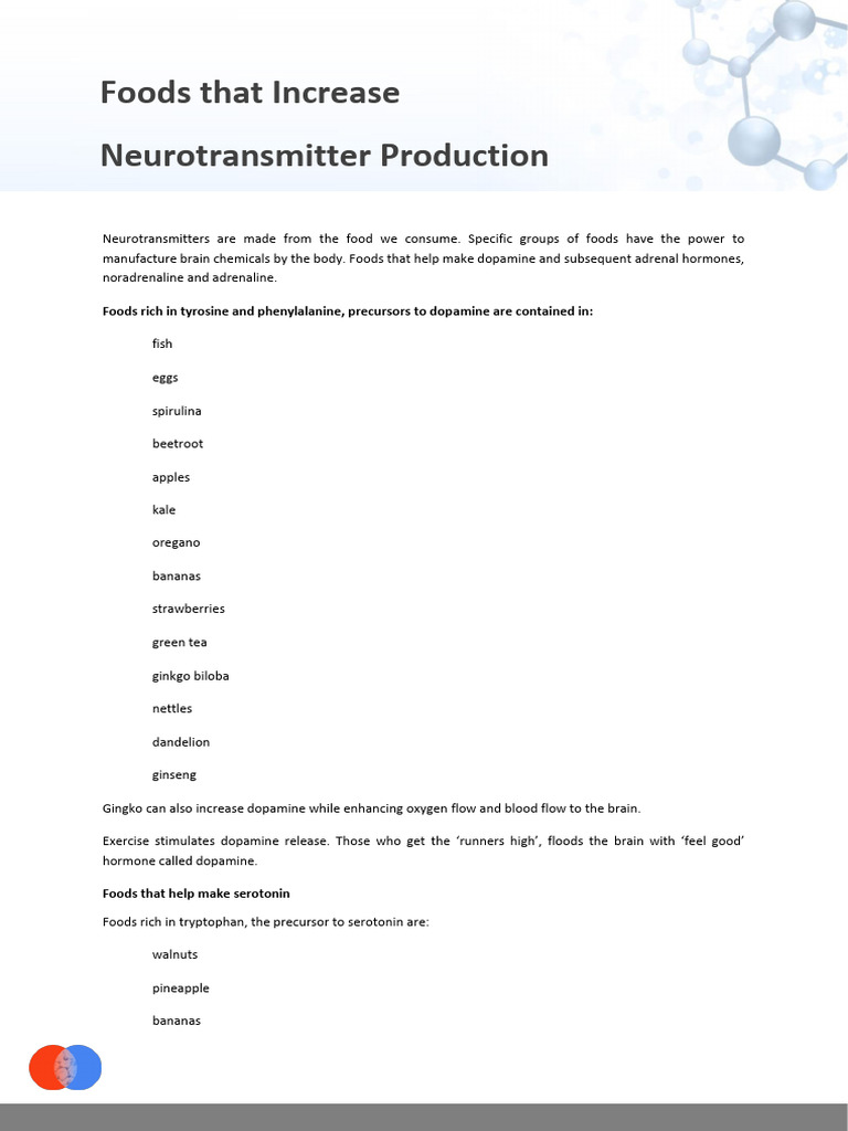 Foods That Increase Neurotransmitter Production | PDF