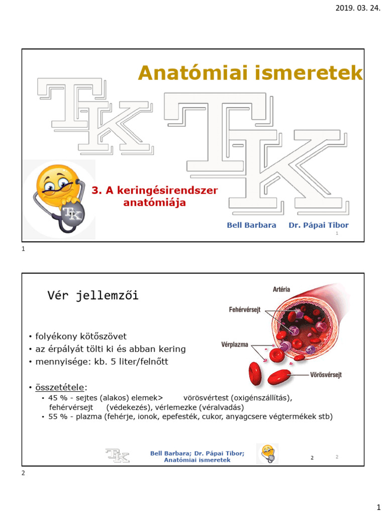 TK - ANATÓMIA 3. Tananyag Keringés | PDF