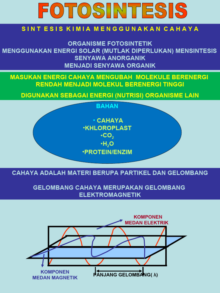 10 11 12 Fotosintesis Dan Respirasi PKP AGB 10 Dan 11 | PDF