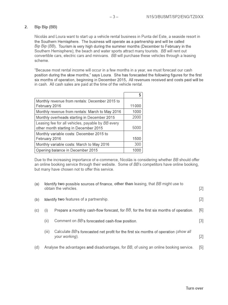 Bip Bip Car Rental Business Plan | PDF