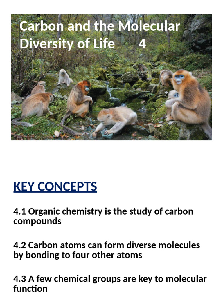 Carbon and The Molecular Diversity of Life | PDF | Functional Group ...